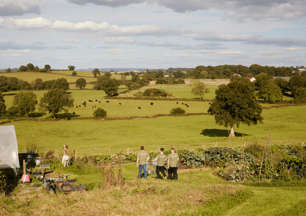 The Pony Farm Bus – Experience a world where everyone connects with ...